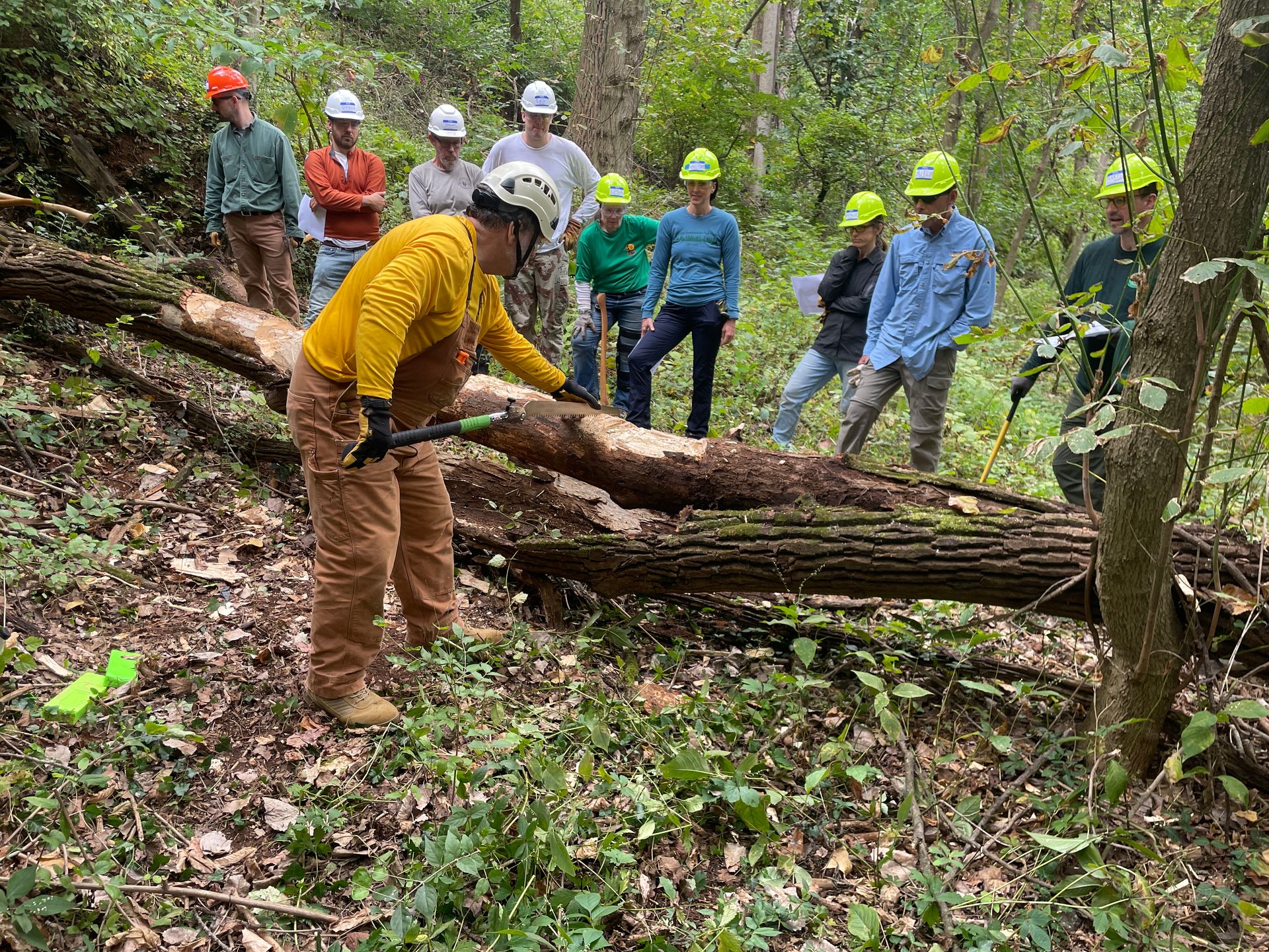 Nine New PATC Crosscut Sawyers Certified in September