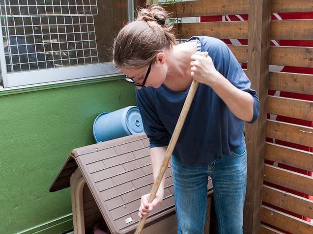 Volunteer with Rescued Animals in Tokushima, Japan | HEART