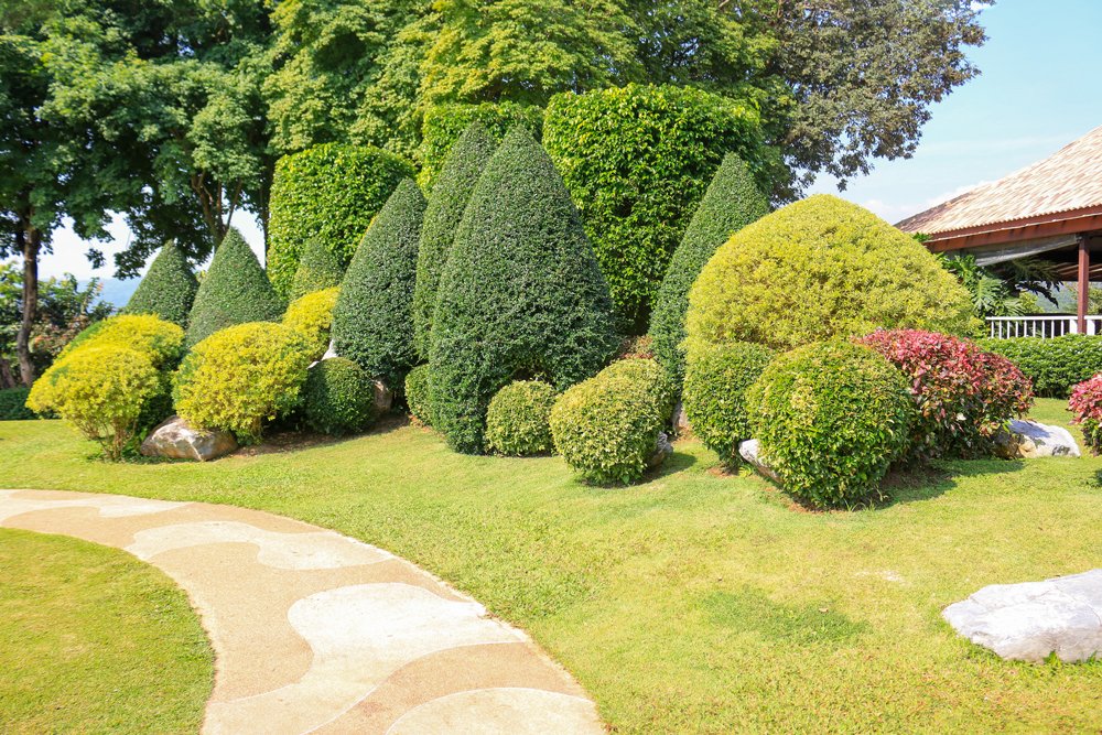 About Us | Lincoln, NE | Eden Lawn Care & Trees