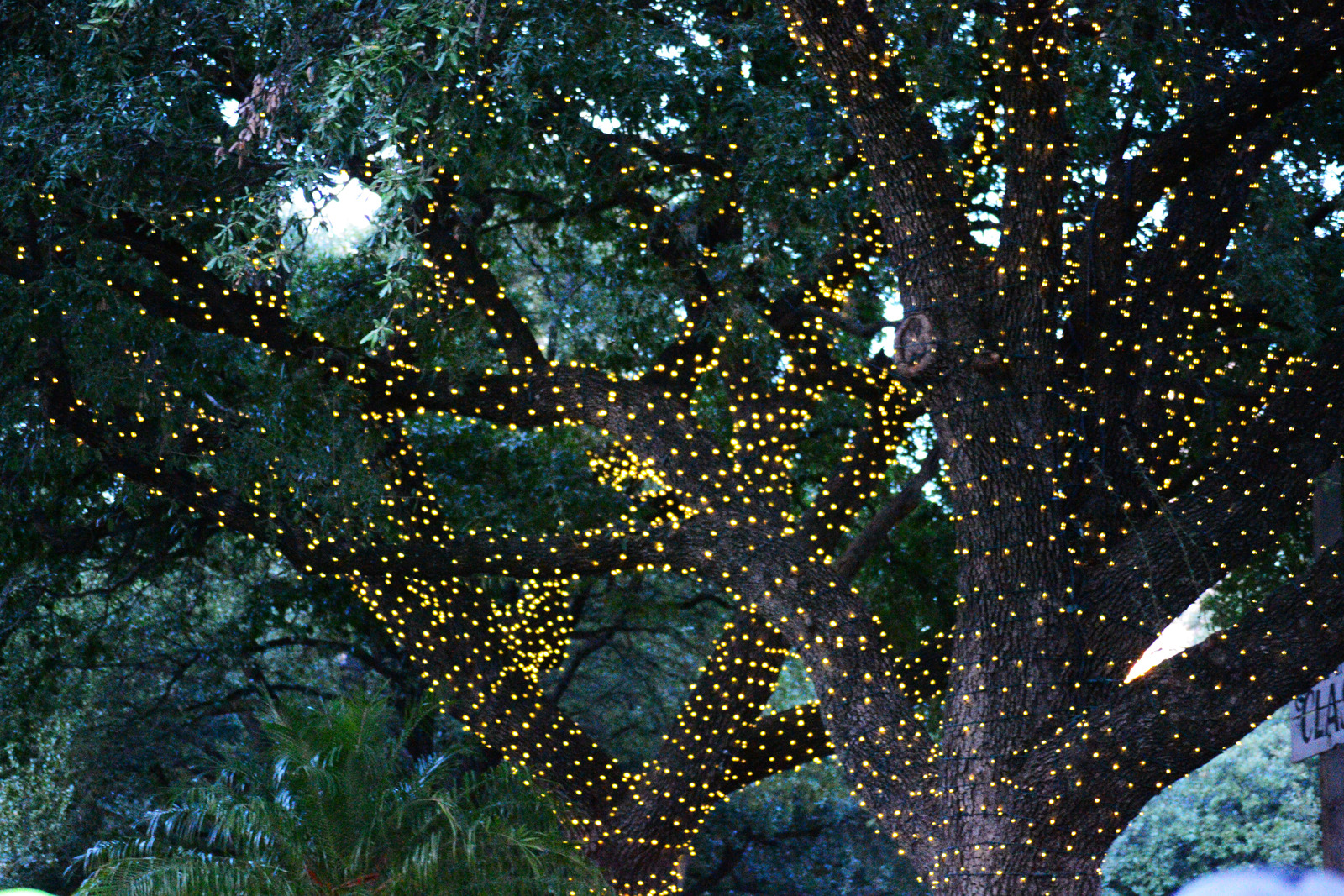 Check out our past work