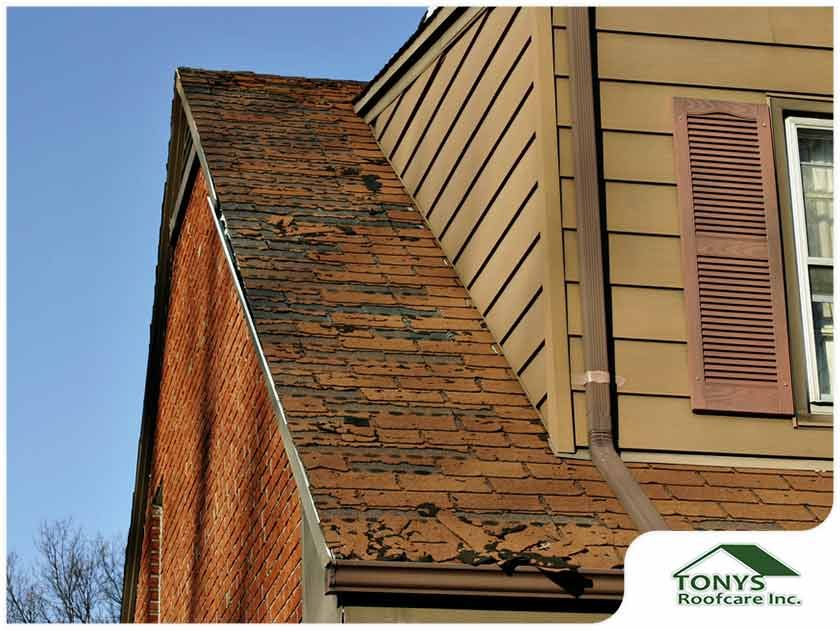 Top Reasons for Roof Deterioration | Tony's RoofCare