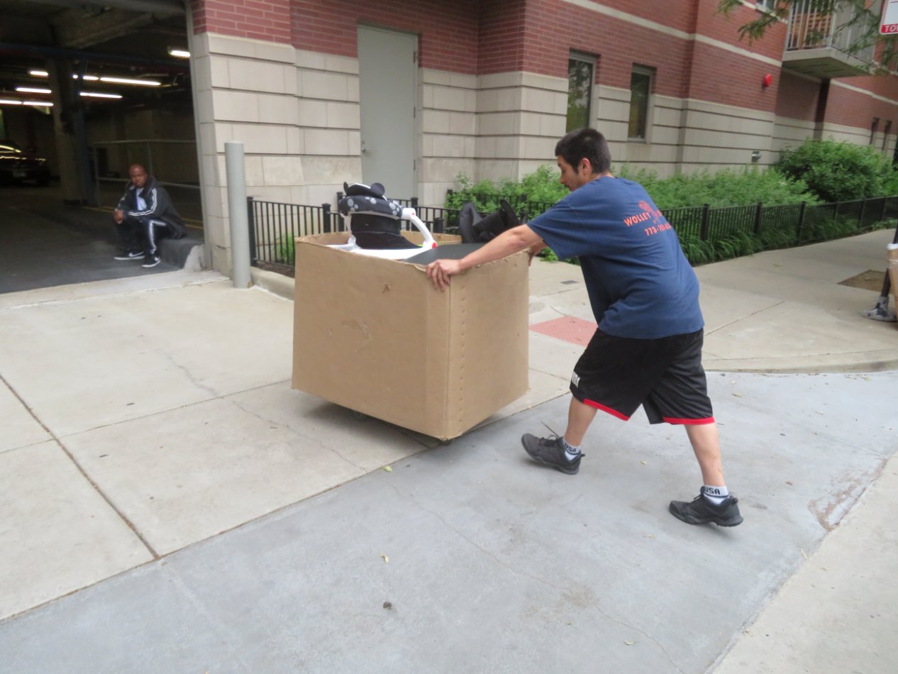 Local Movers Chicago | Moving Companies Chicago | Wolley Movers