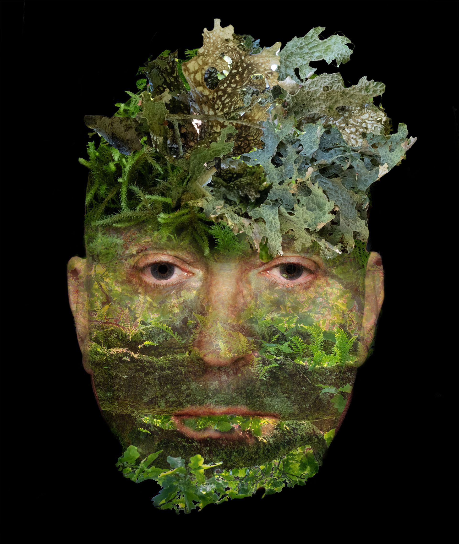 Forest Heads| Photographic Art | Andy Wiener