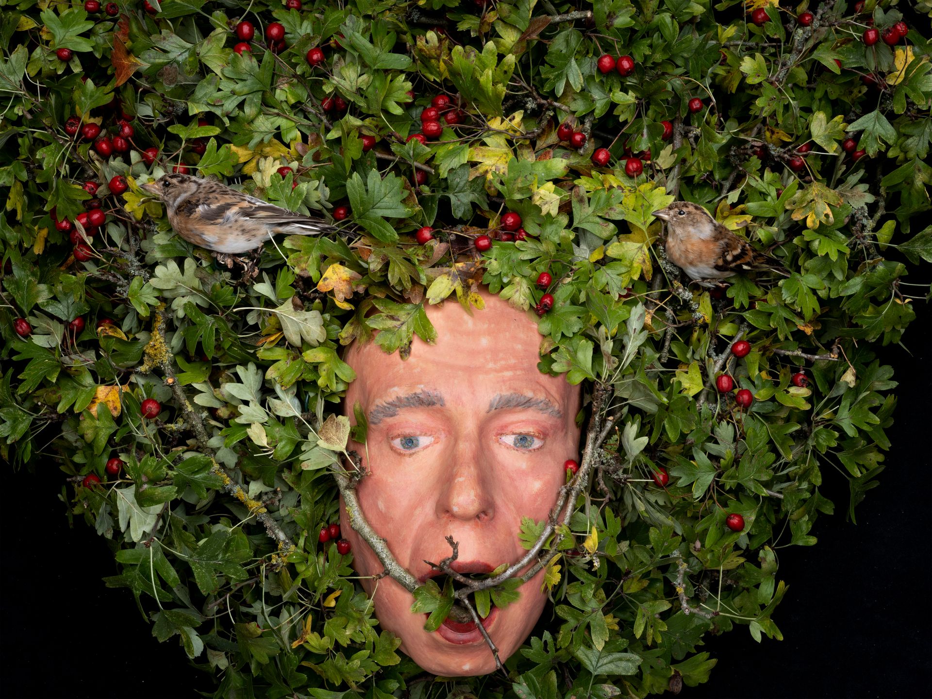 The Green Man | Photographic Art | Andy Wiener