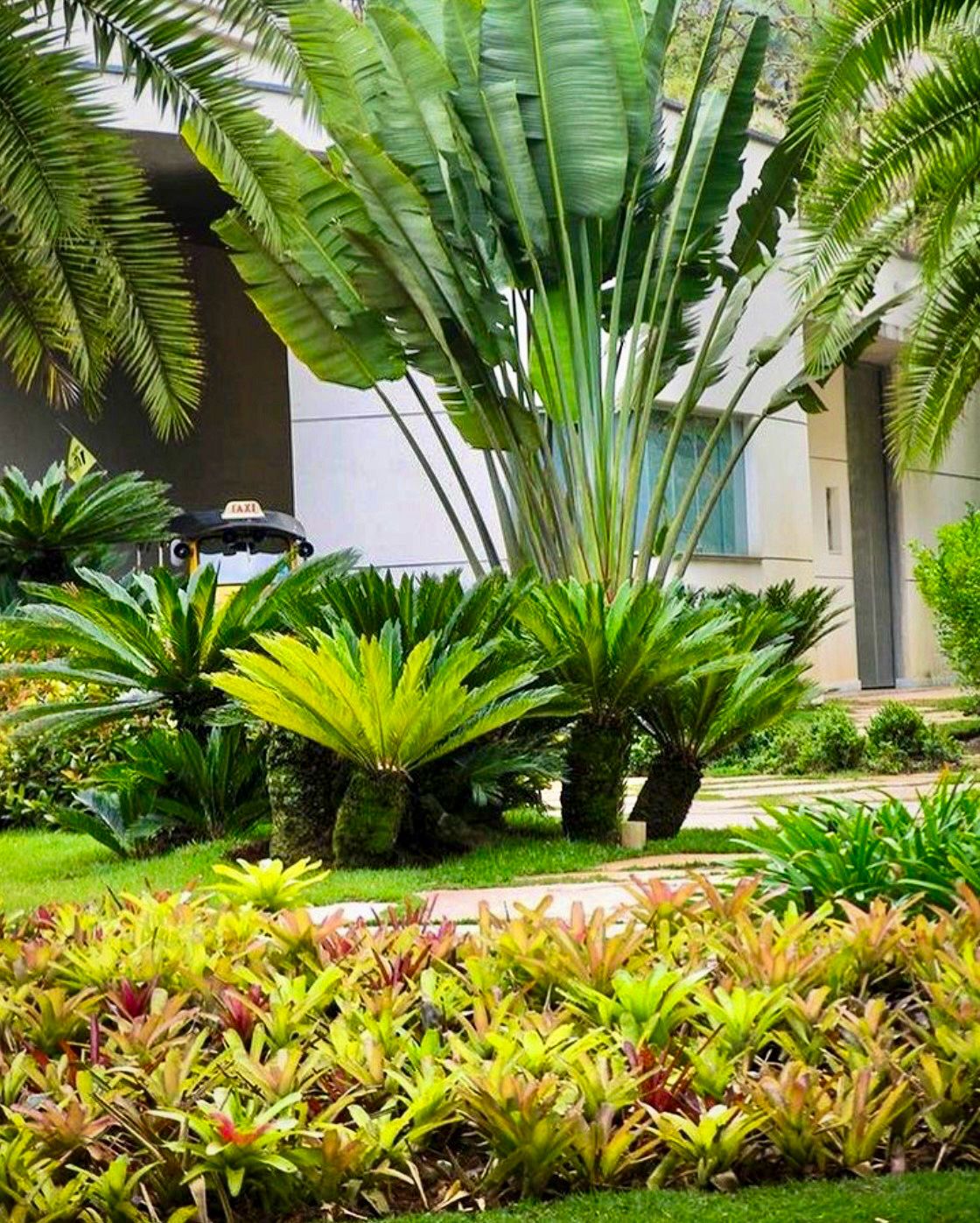 Landscape Design | Eileen G Designs | South Florida