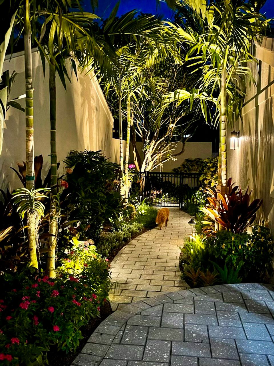 Landscape Design | Eileen G Designs | South Florida