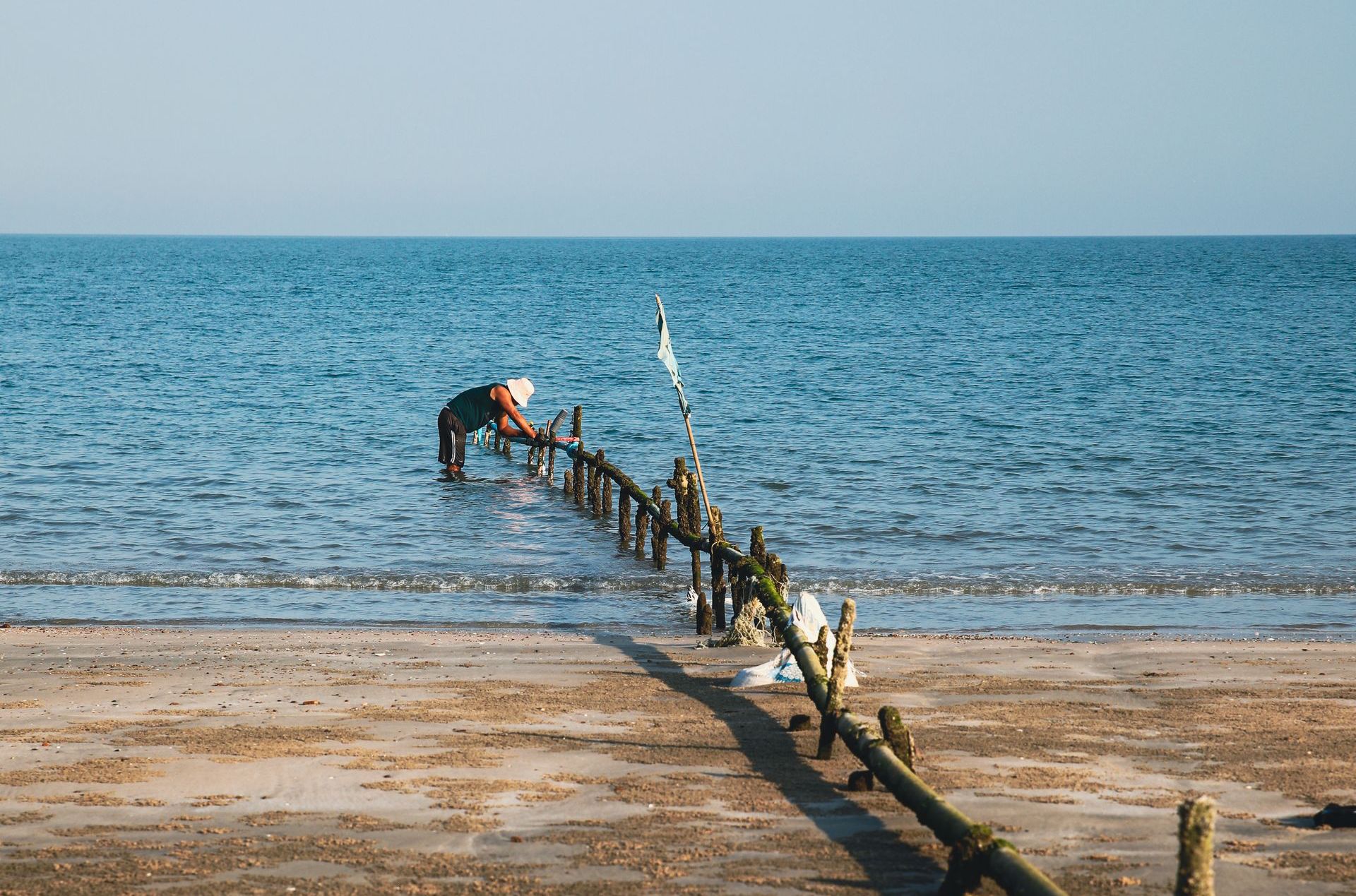 Vector Inspection | Phased Array UT In-Line Inspections | Home