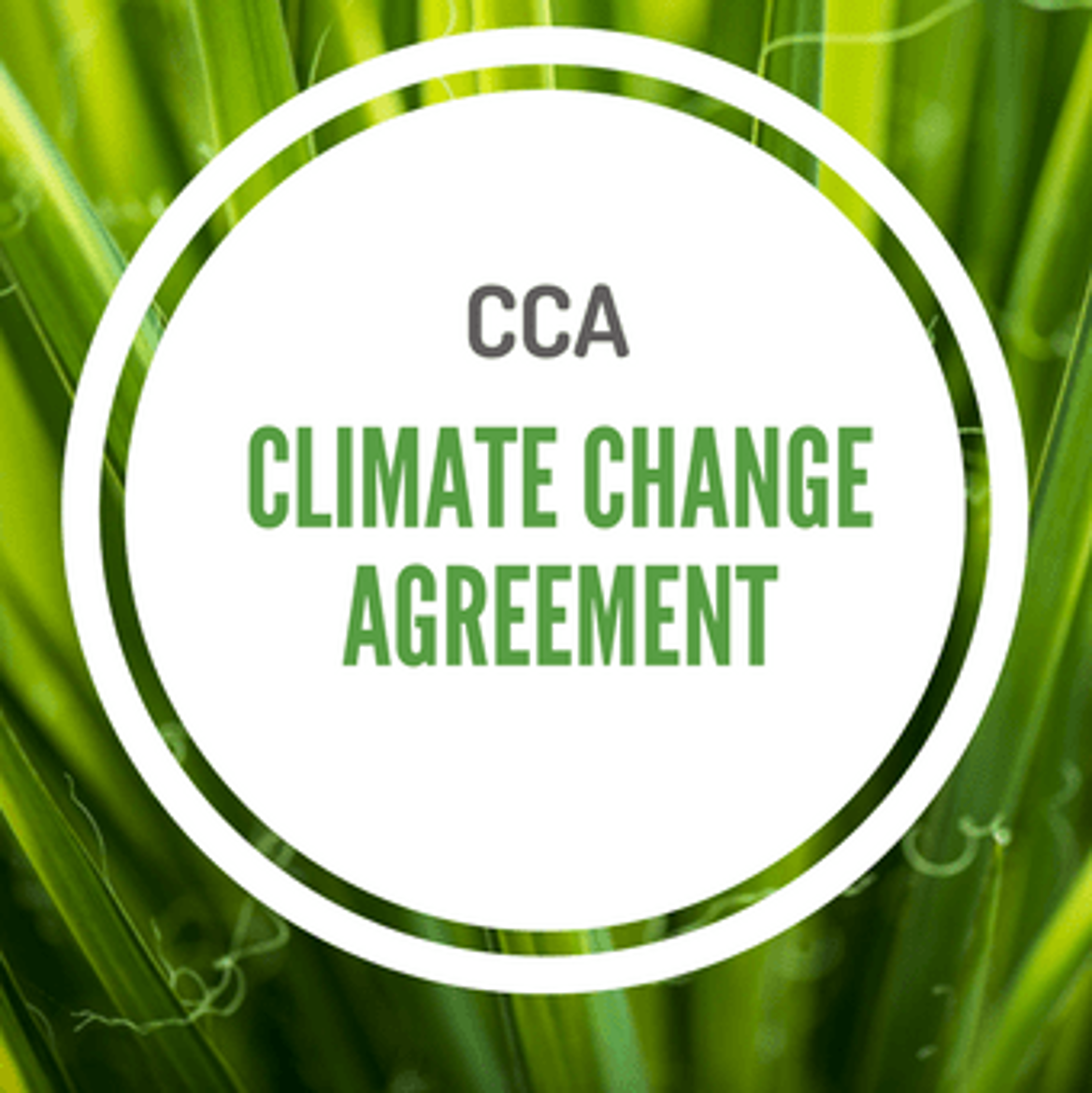 Climate Change Agreement (CCA) Extension