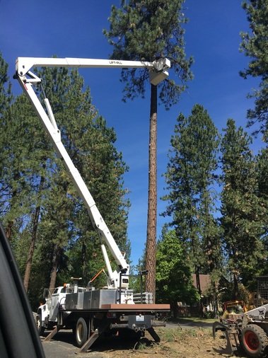 Tree Service Spokane WA | Spokane Tree Removal Service