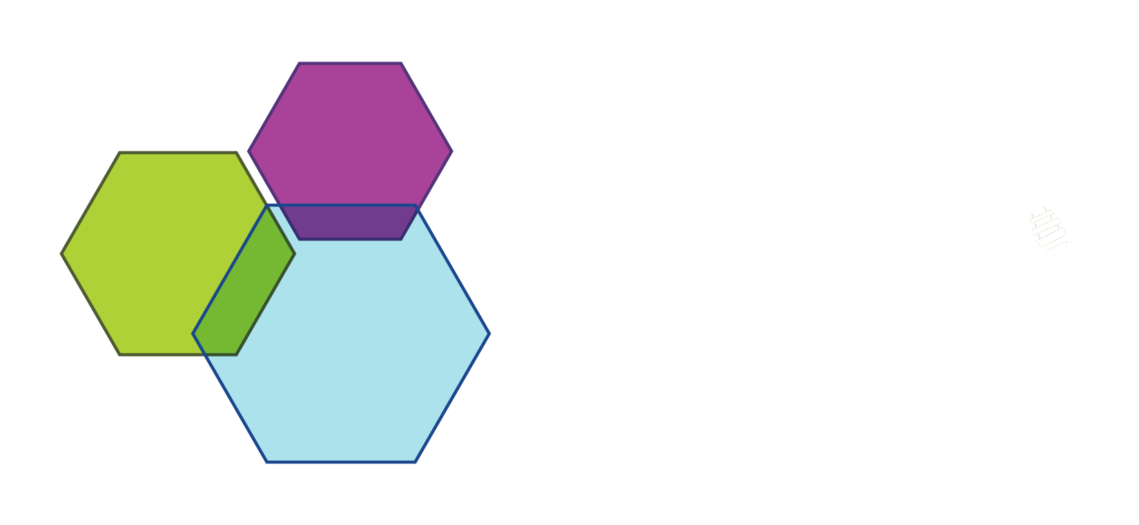 Apis Creative Premier Marketing Agency Morgantown, WV