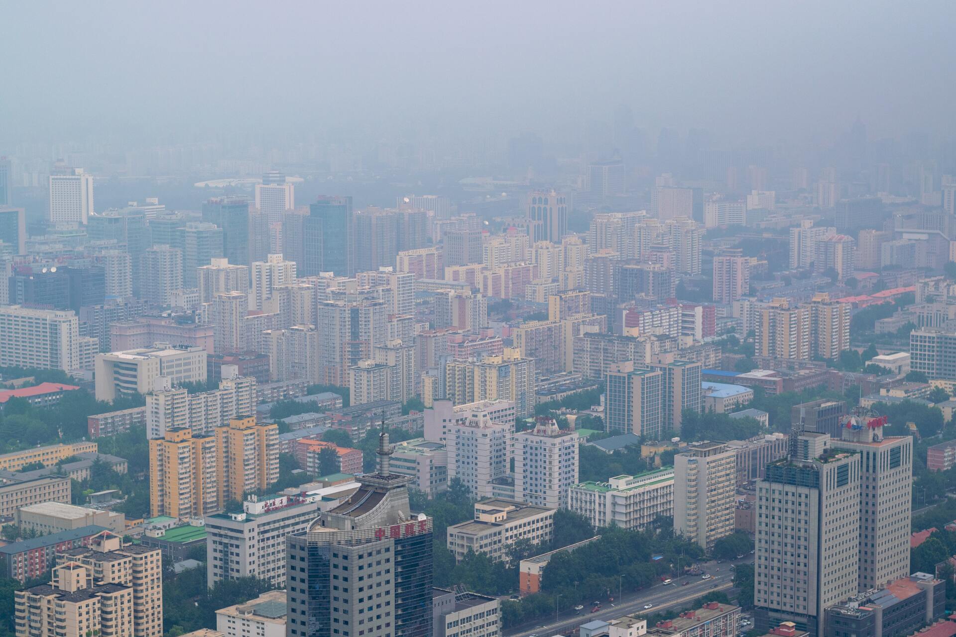 5 hábitos para cuidar el medio ambiente en la ciudad