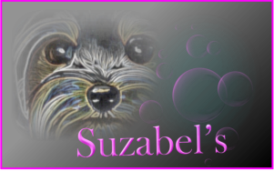 Yorkie Breeder | Suzabel's Yokies | Southern California