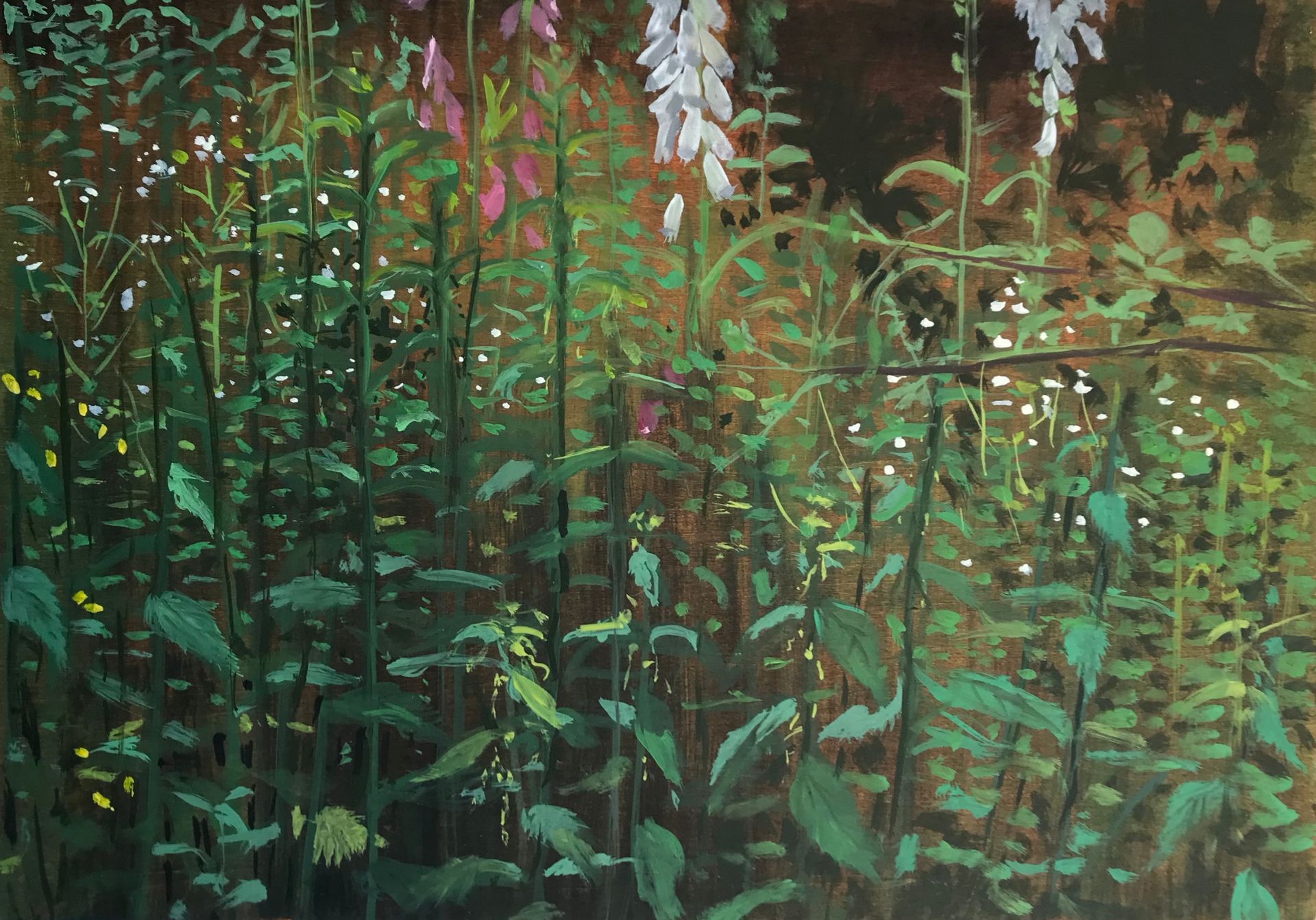 Home [www.alincolntaber.co.uk]