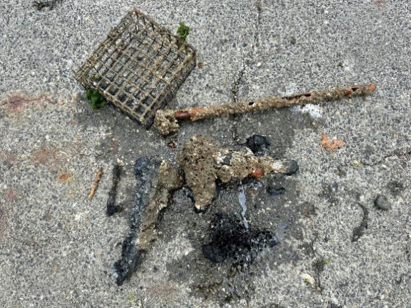 Epic Magnet Fishing Finds & Stories