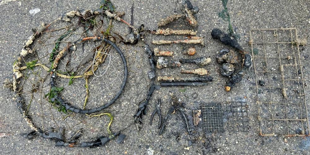 Ocean Magnet Fishing: Beginner Tips & Essential Gear Guide