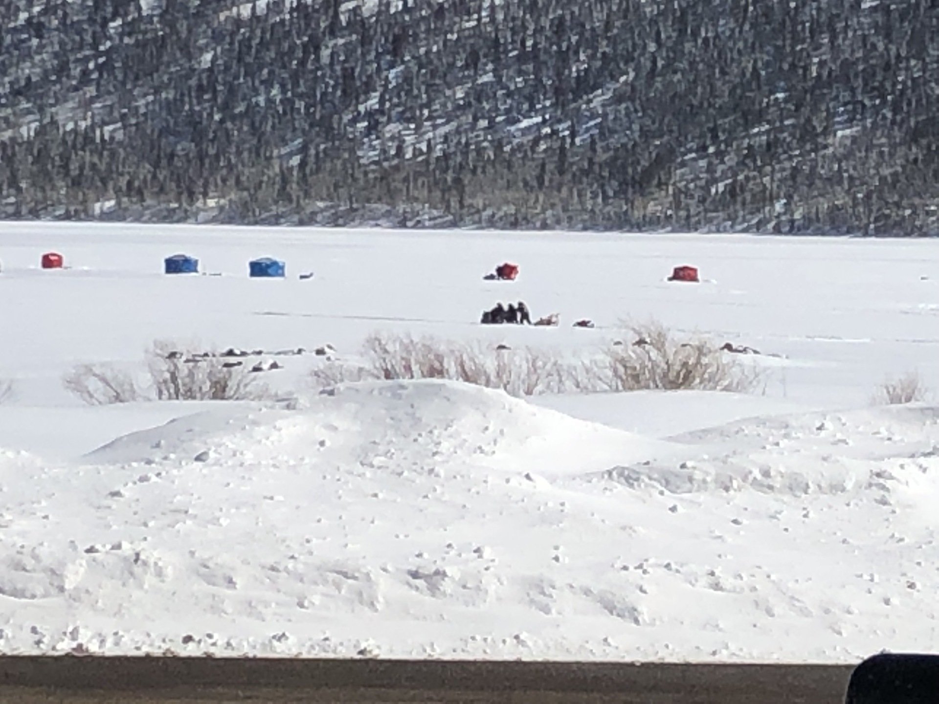 Fish Lake Resorts | GALLERY - Come Catch Yours!