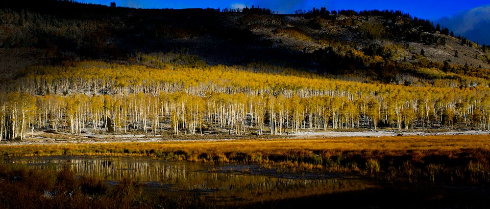 Explore Fish Lake Utah | Fish Lake Resorts