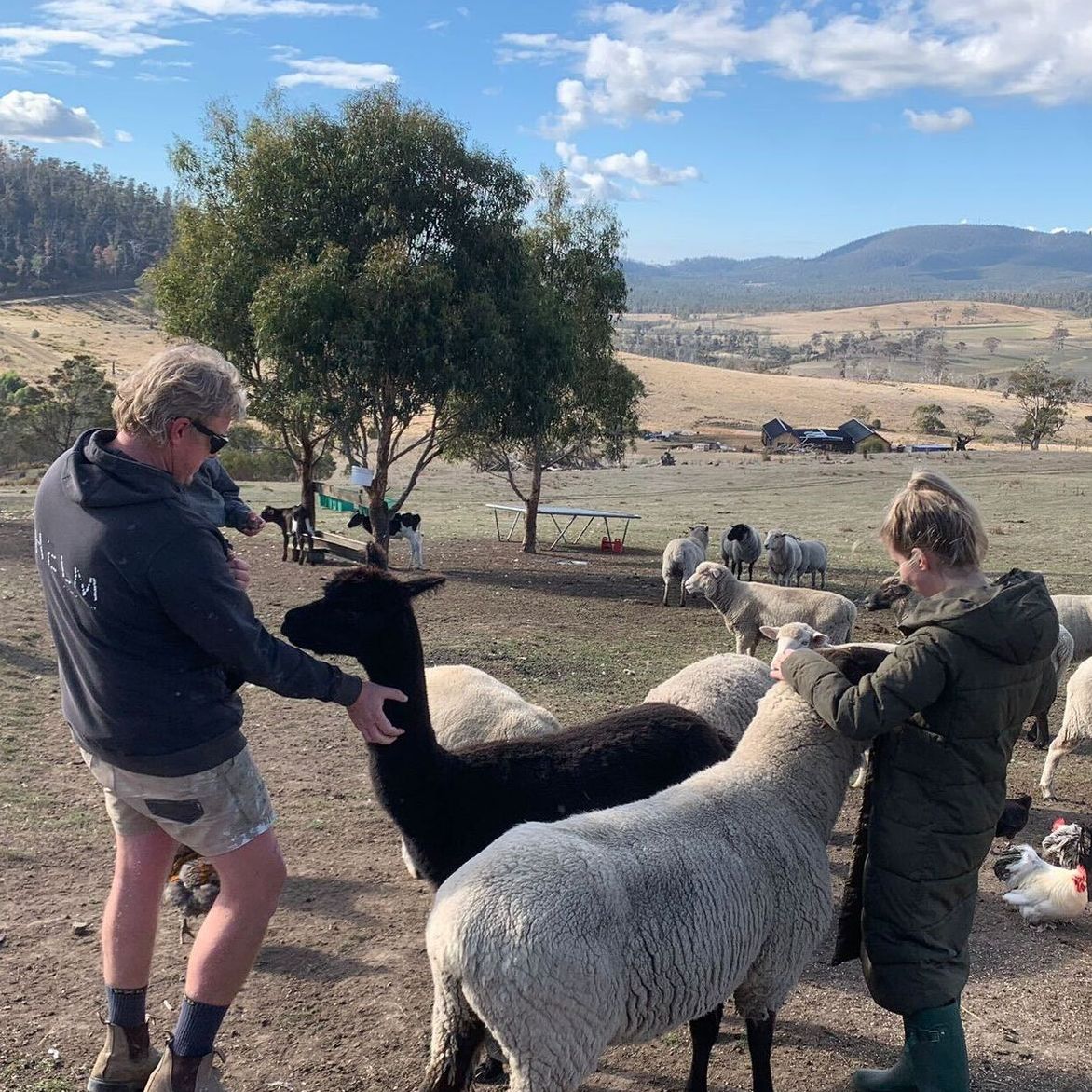 Highland Cow Adventure | Eventide Sanctuary