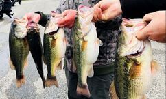 Missouri Bass Nation