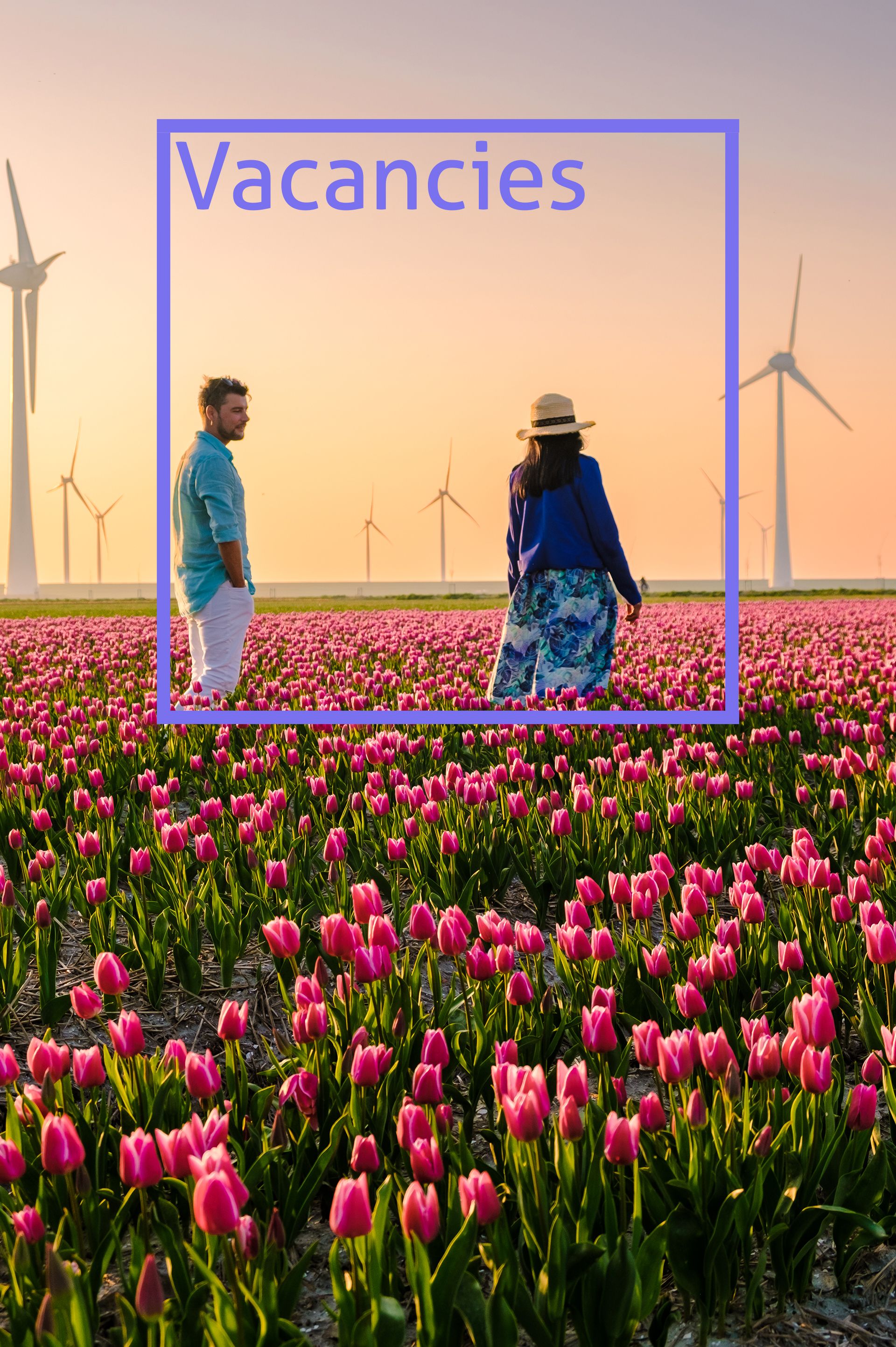 JOBS work for or with DailyStaffWorks Join us