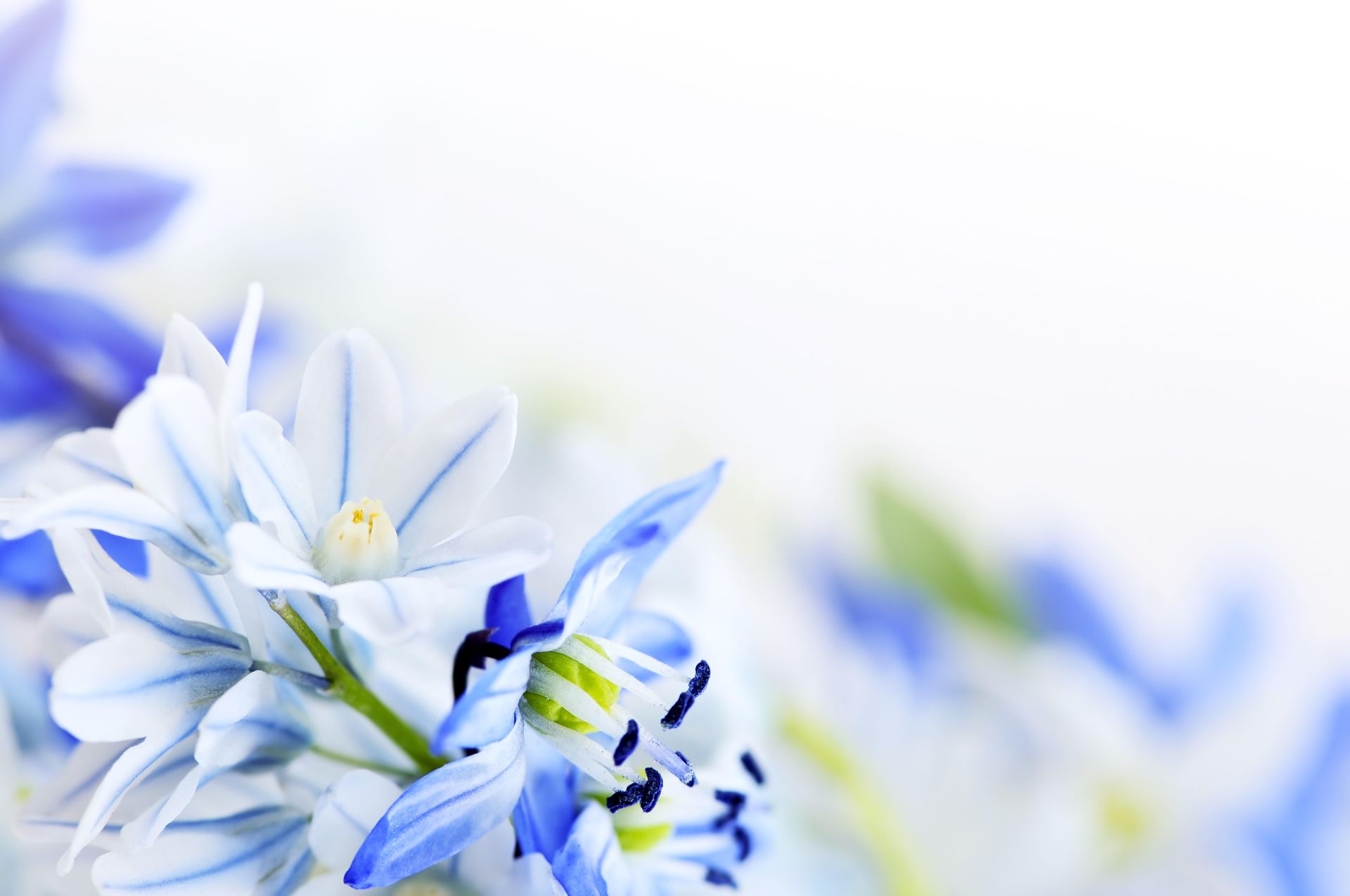 Crematoria Price Information