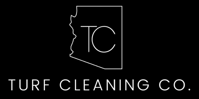 Turf Cleaning Company - Serving East Valley Phoenix Homeowners & Businesses