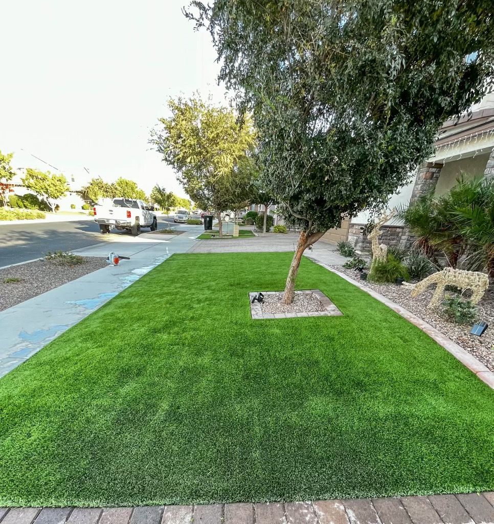 Turf Cleaning Company - Serving East Valley Phoenix Homeowners & Businesses