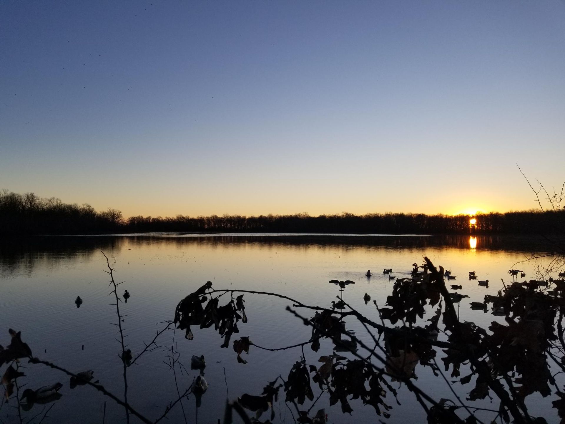 What to Expect on Your First Arkansas Snow Goose Hunt