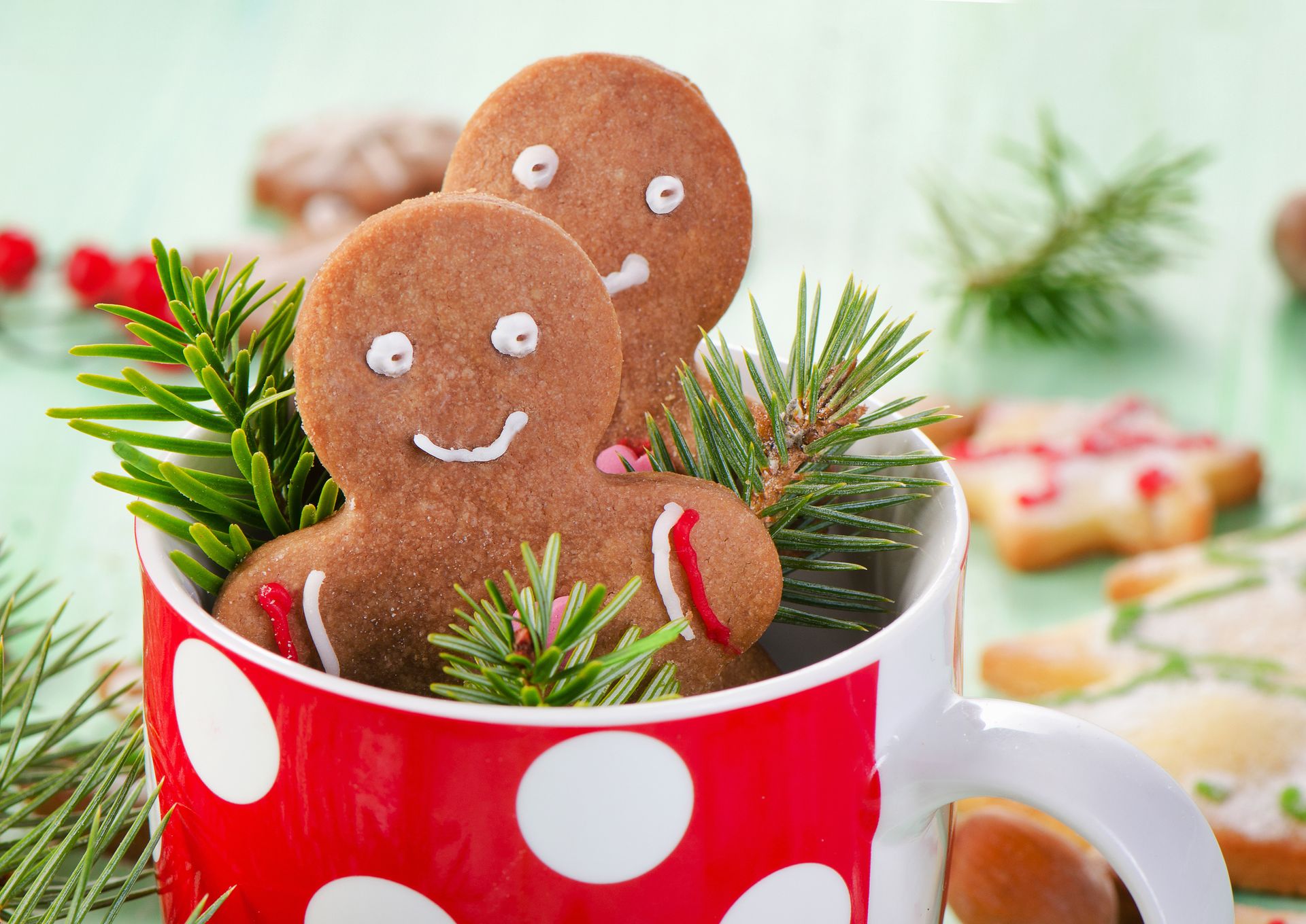 German Christmas Market | Cullman Christkindlmarkt | Cullman, AL