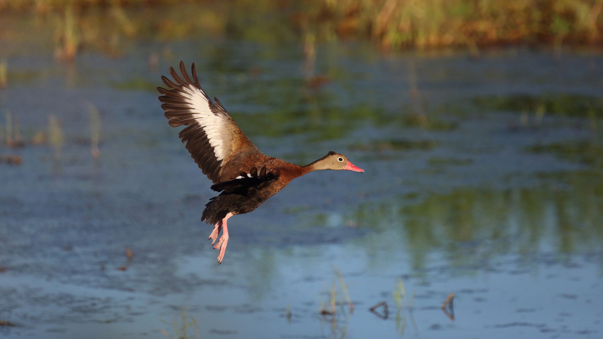 Honey Brake Hunting Lodge and Outfitters