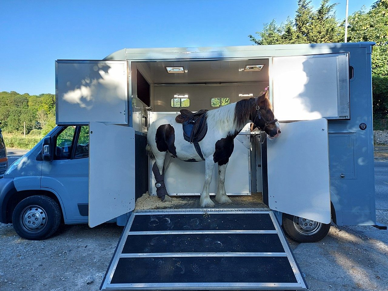 Horse Box Supplier in the UK | Travel Two Horseboxes