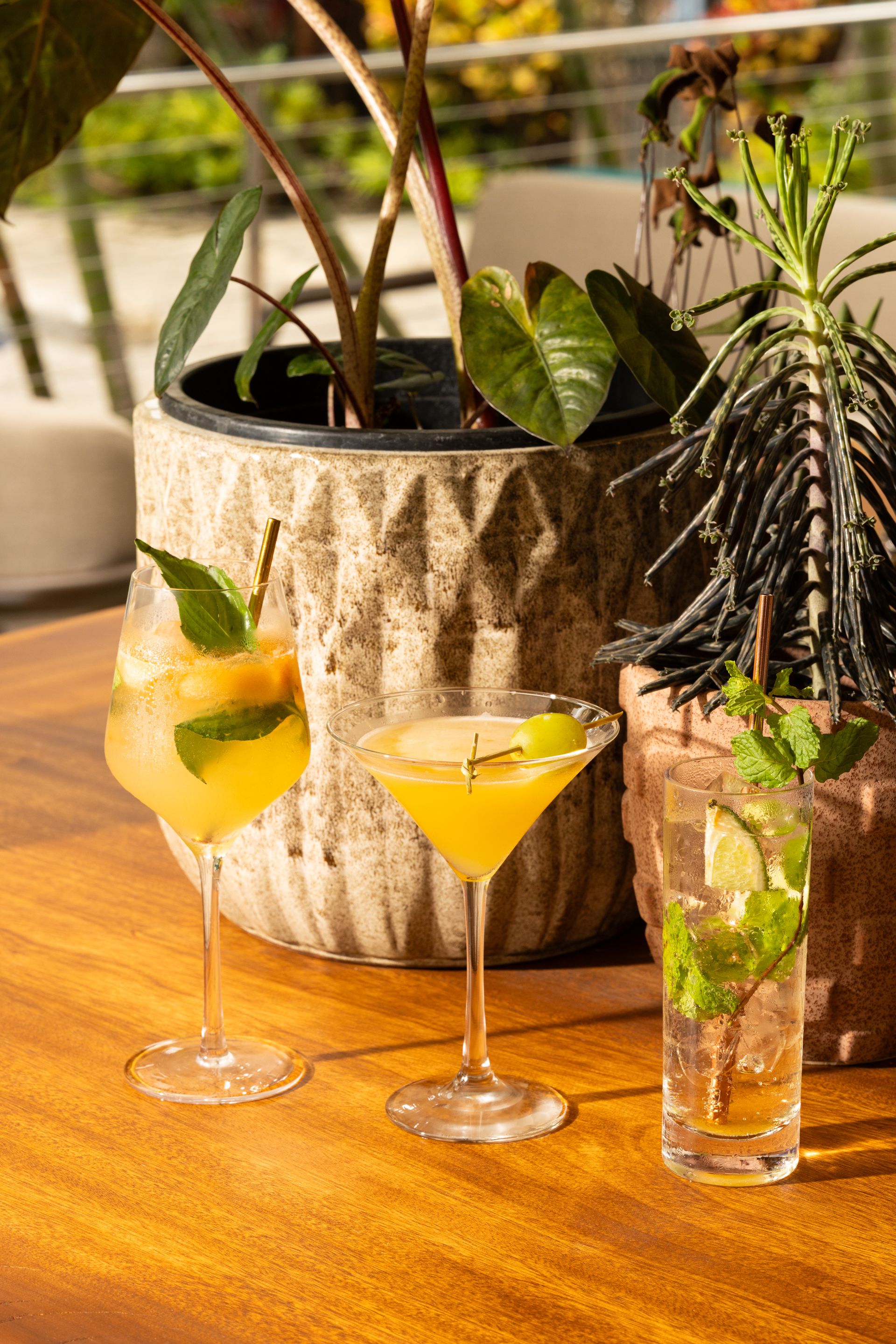 Peppermint Cafe & Pool Bar | Zetton, Inc