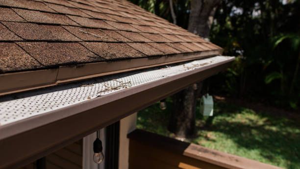 Gutter Screens | St. Peter, MN | Gladiator Gutters