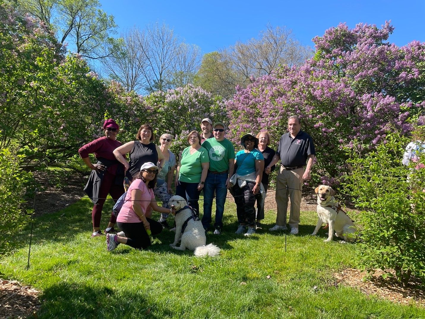 Gallery | Beth Frates MD