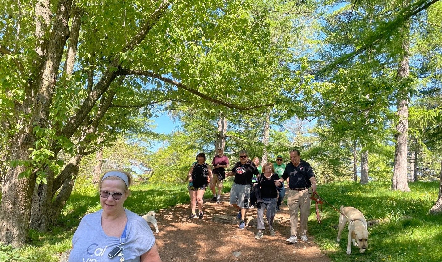 Gallery | Beth Frates MD