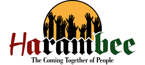Harambee Kingston NY, Inc. Kingston, NY