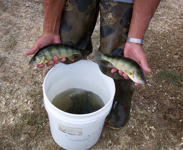 Fish Hatcheries Iowa North Star Fish Hatchery stocking in Midwest