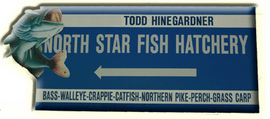 Fish Hatchery, Baby Walleye, Perch, Blue Gills, Fingerlings, Fishing ...