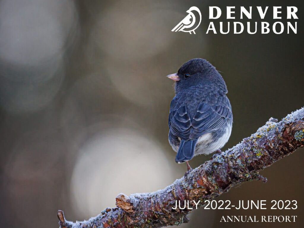 Bird-Friendly City Initiatives | Denver Audubon | Denver, CO