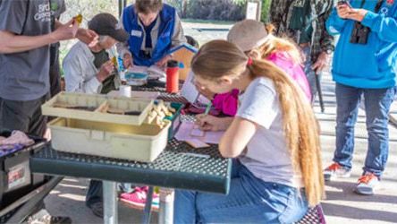 Kingery Nature Center | Denver Audubon | Denver, CO