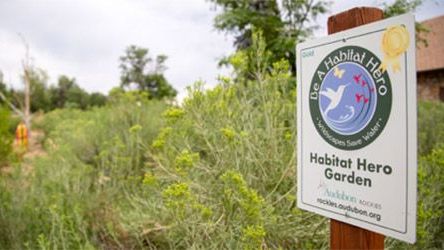 Kingery Nature Center | Denver Audubon | Denver, CO