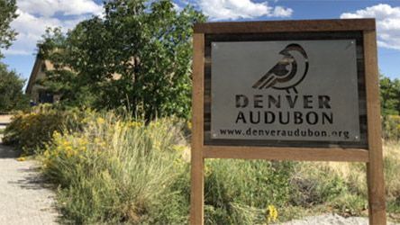 Kingery Nature Center | Denver Audubon | Denver, CO