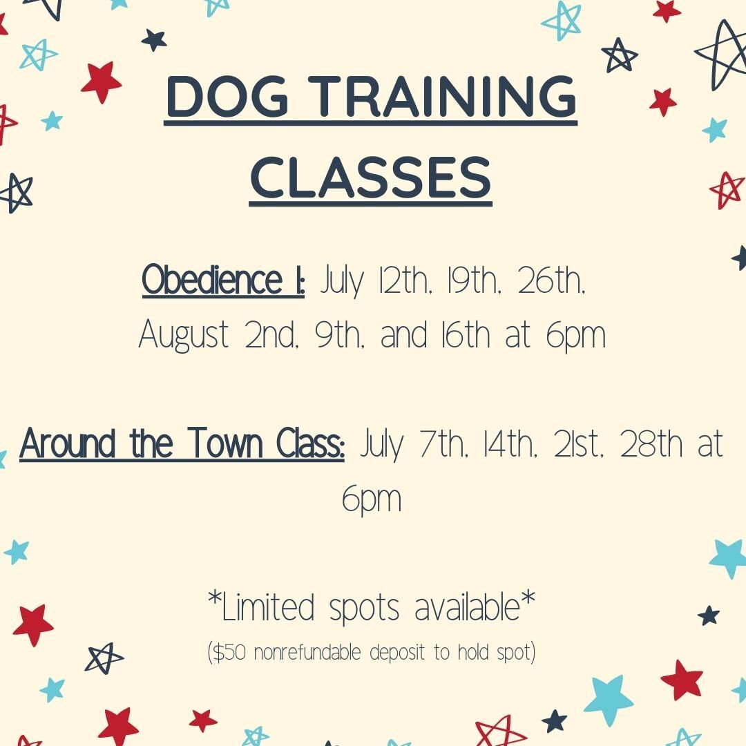 Dog Training | Holmen, WI | Doggie Business LLC