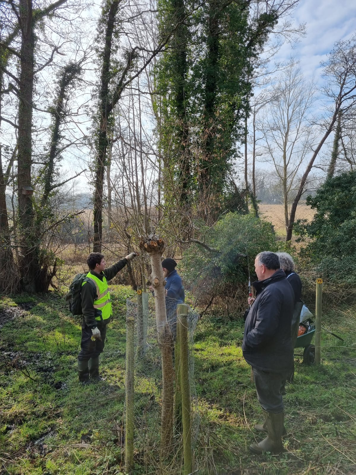 Suffolk Tree Warden Network - Championing Suffolk’s Trees & Hedgerows