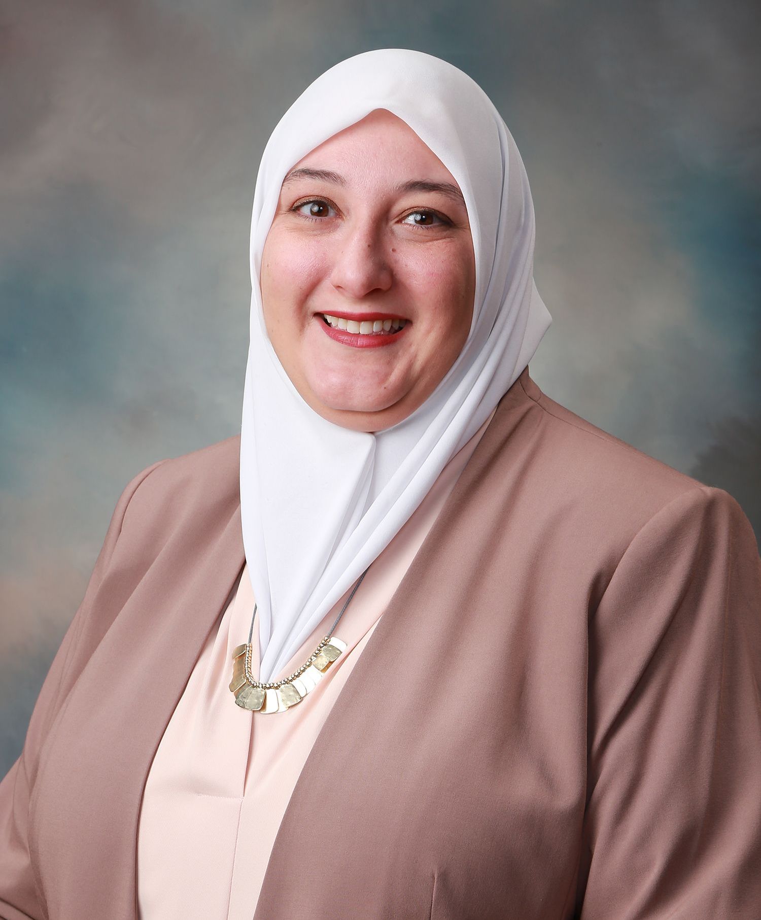 Trial and Transaction Attorneys | MAE Law | East Central Illinois