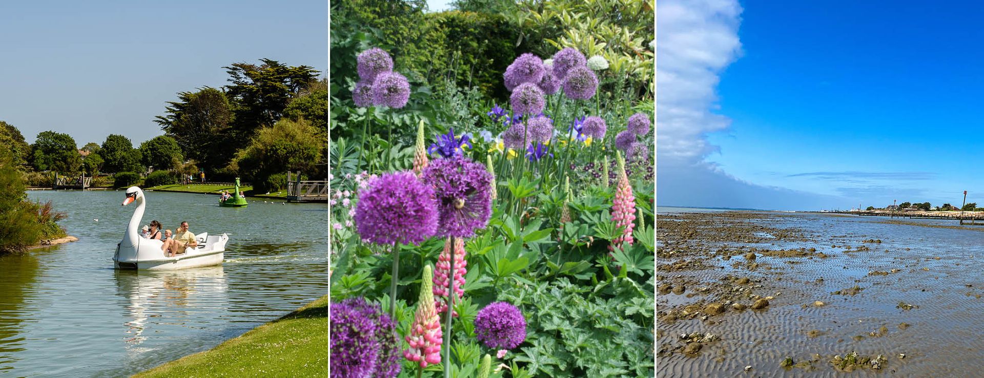 Things to do in the Arun District this summer