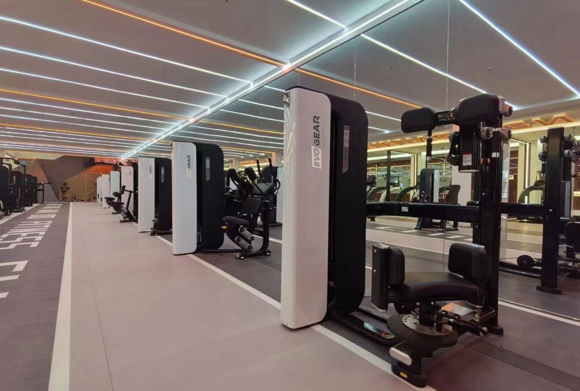 EvoGear - Equipamentos de Academia