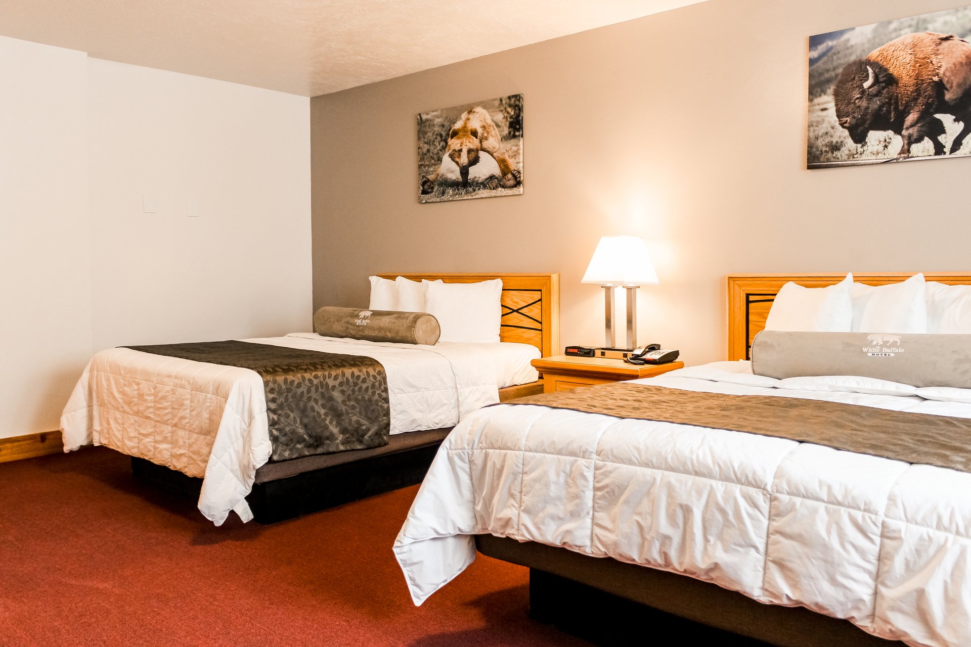 The White Buffalo Hotel -Rooms