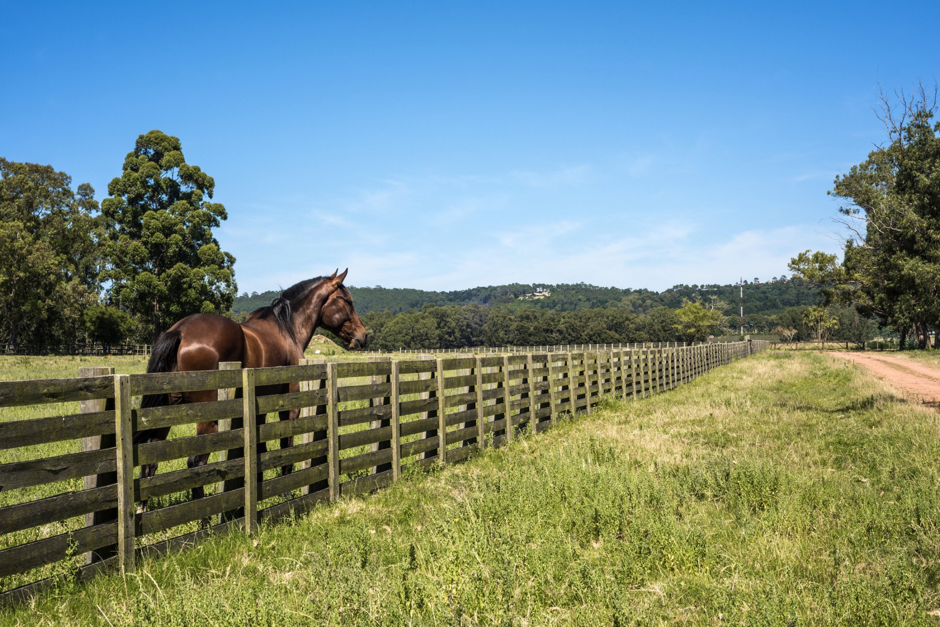 Loudoun County's Top-Rated Fence Builder | Rugged Fence
