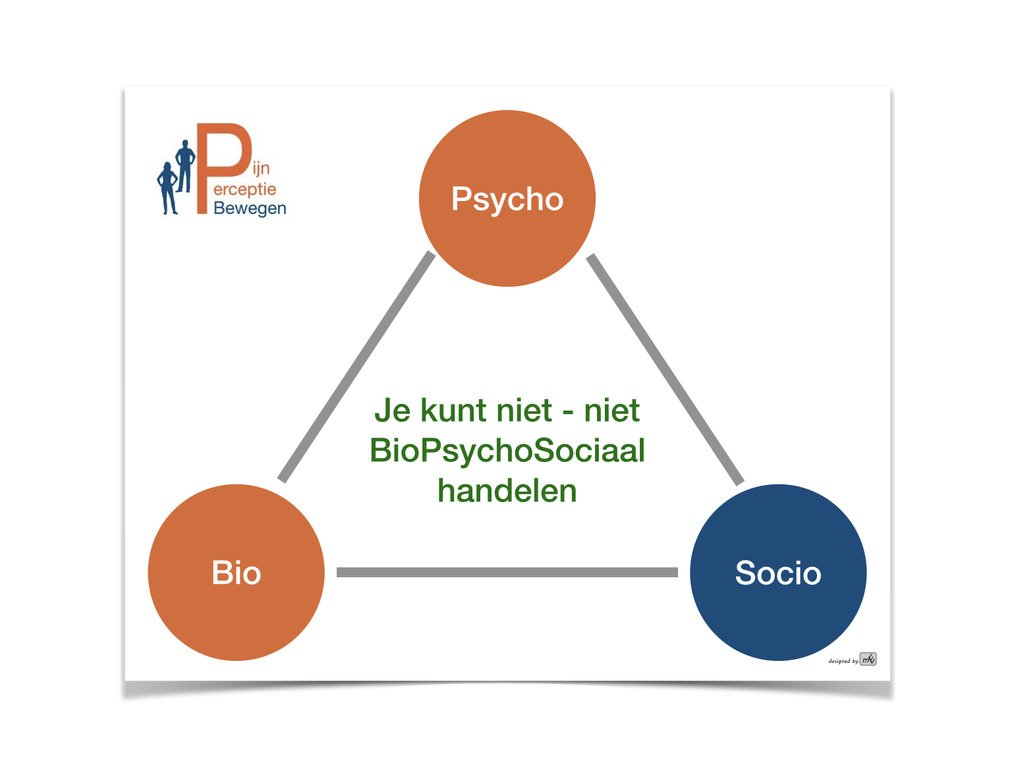 BioPsychoSociaal Pijnmanagement